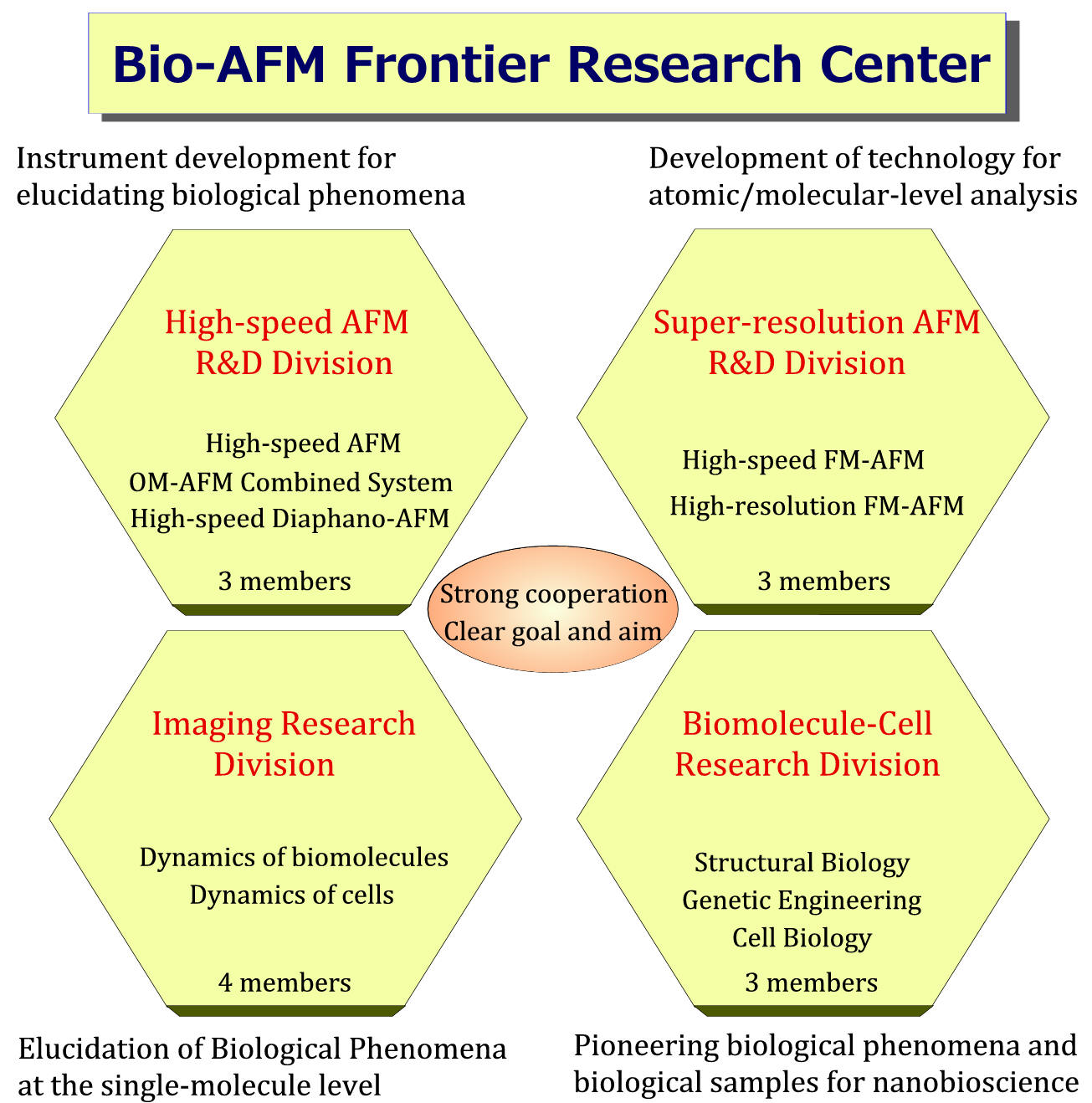 Bio-AFM Center